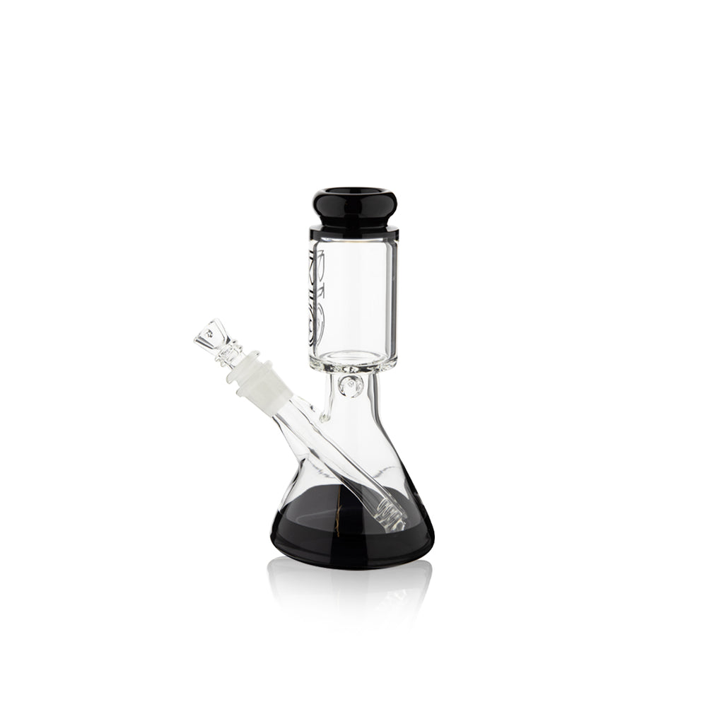 Bongs Under $25 | Biohazard Inc