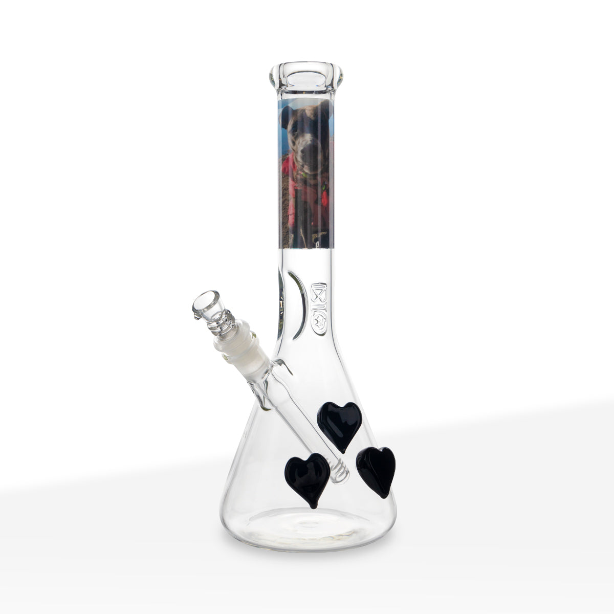 Custom BIO Glass | Heart Detailed Bong | 12" - 14mm - Various Colors